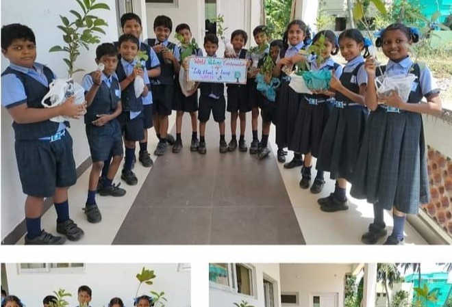 Correspondent - Ants N Bees School